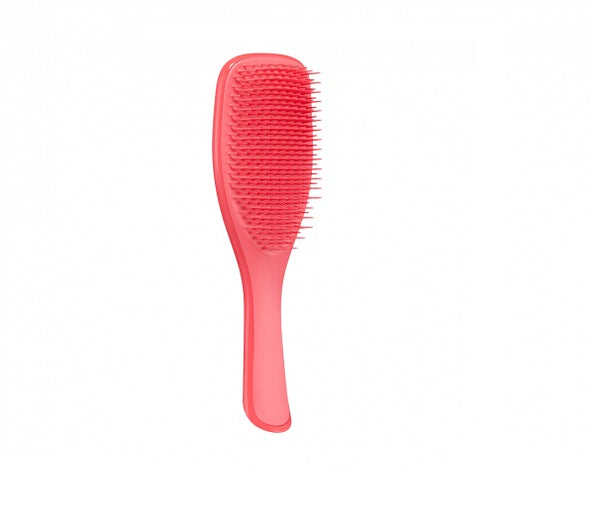 Tangle Teezer Mini Wet Detangler Pink Punch – Salon500 Online